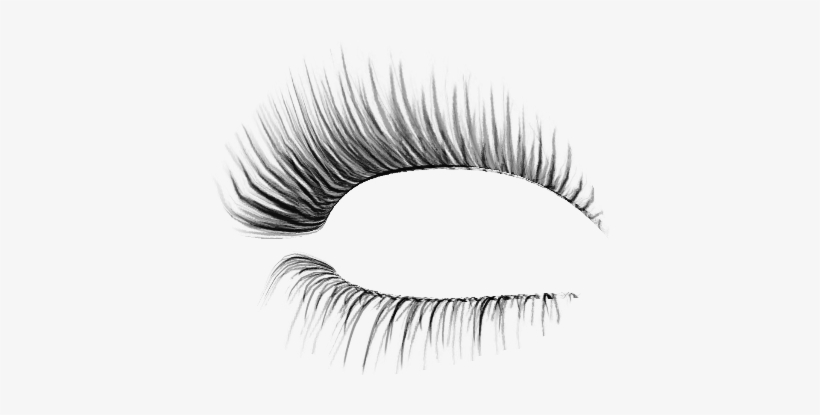 Download Transparent Background Lashes Png Clip Transparent - Eyelashes ...