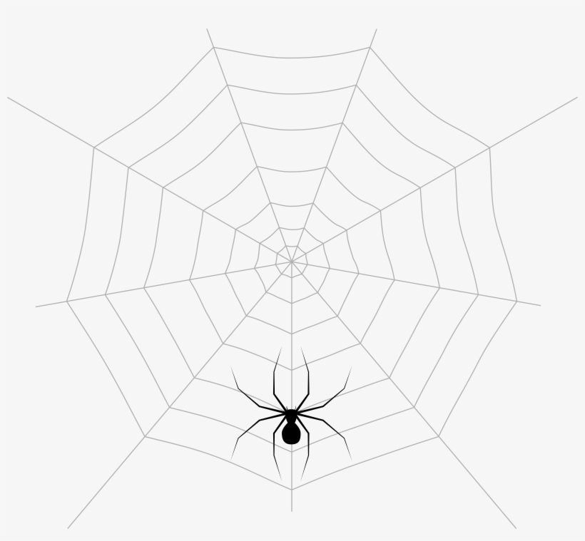 Spider Png PNG Image | Transparent PNG Free Download on SeekPNG