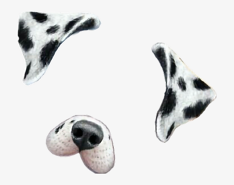 What Is Snapchat Dog Filter