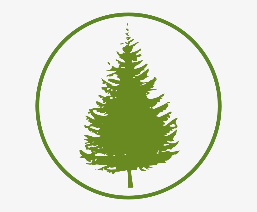 Forest/circle Clip Art At Clker - Pine Tree Silhouette PNG Image ...