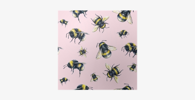Bumblebee On A Pink Background - Drawing PNG Image | Transparent PNG ...