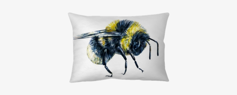 Bumblebee Isolated On A White Background - Bumblebee Drawing PNG Image ...