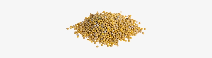 Mustard Seeds Png - Mustard Seed PNG Image | Transparent PNG Free ...