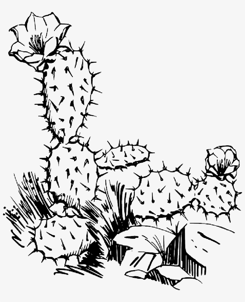 Desert Clip Art Black And White