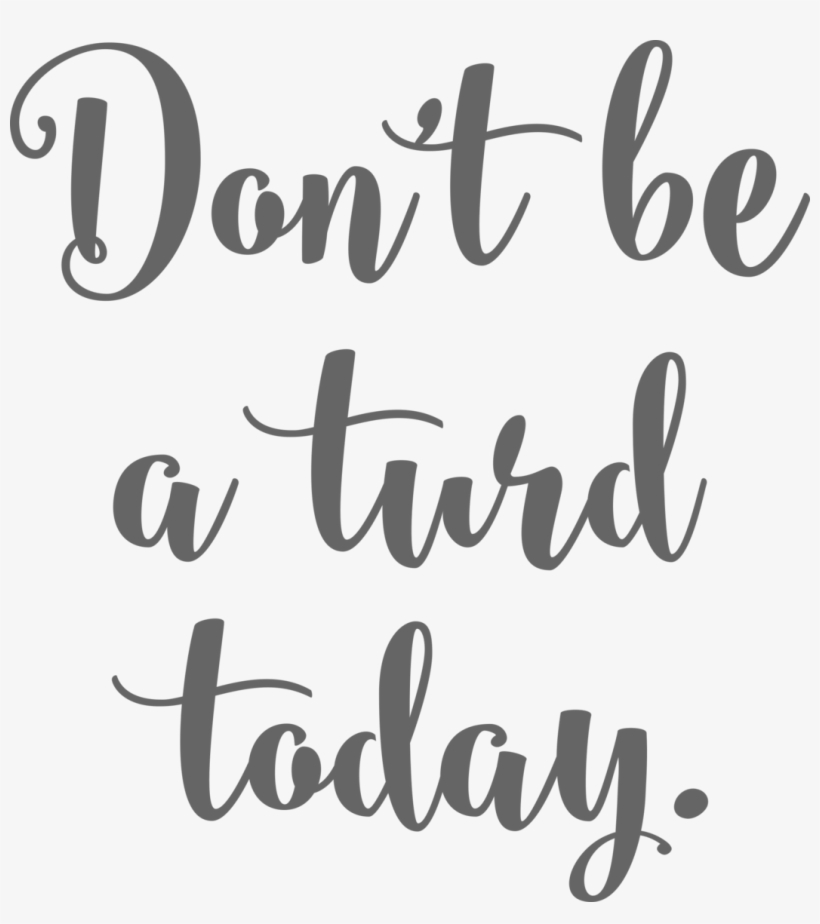 Don't Be A Turd Today Adhesive Vinyl Stencil - Dont Be A Turd Today PNG ...