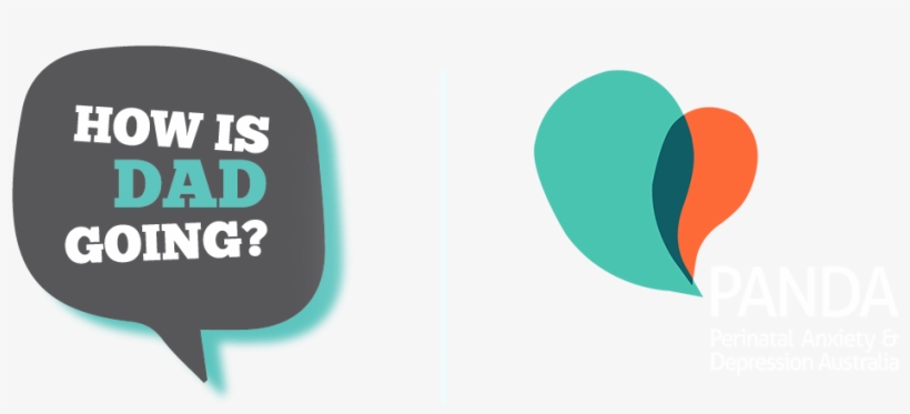 Download Panda Hidg - Portable Network Graphics | Transparent PNG ...