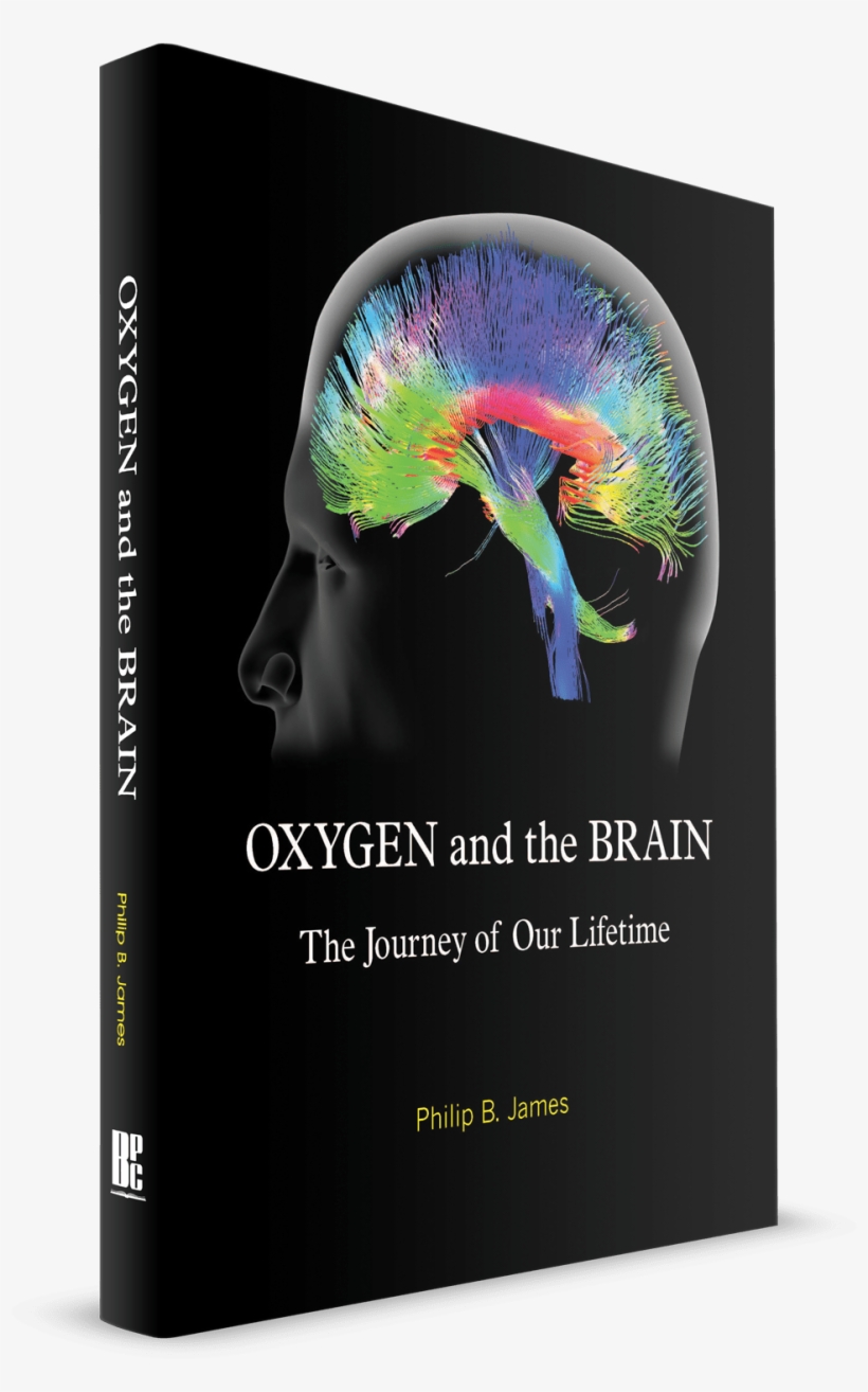 Oxygen And The Brain - Brain Oxygen Partial Pressure PNG Image ...