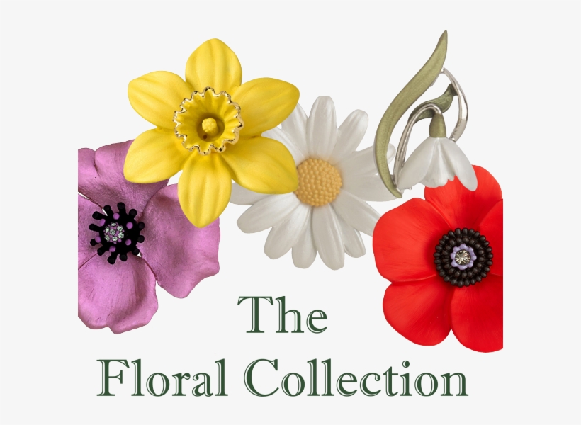 Download Forget Me Not - African Daisy | Transparent PNG Download | SeekPNG