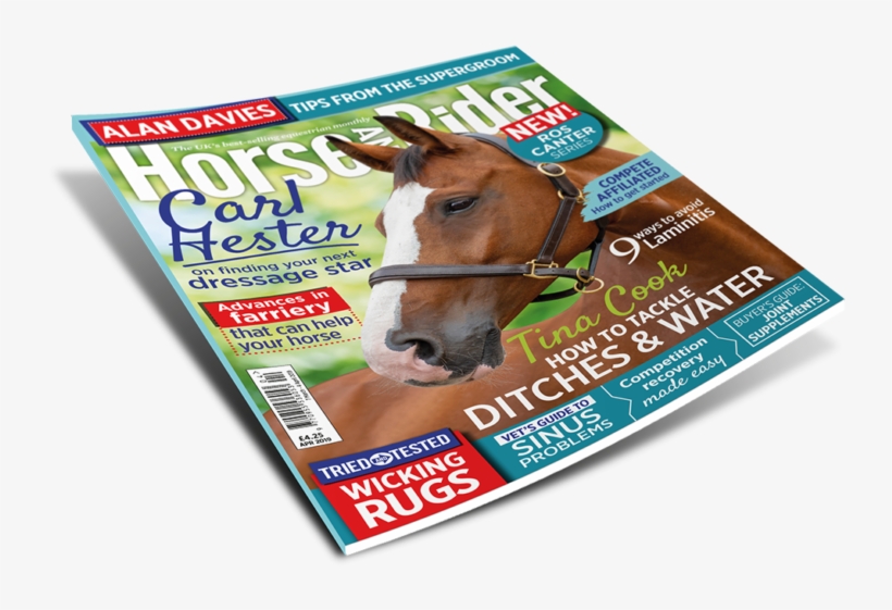 April Horse&rider Magazine - Stallion PNG Image | Transparent PNG Free ...