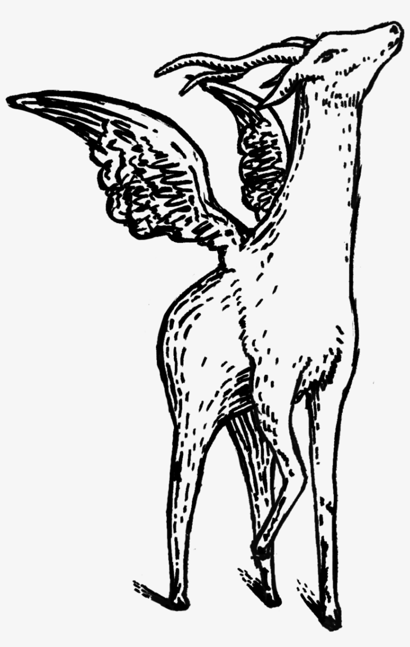 Dmo Illustrations Goat-chan - Sketch PNG Image | Transparent PNG Free ...