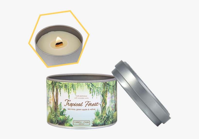 Tropical Forest Tin Candle - Cartoon PNG Image | Transparent PNG Free ...