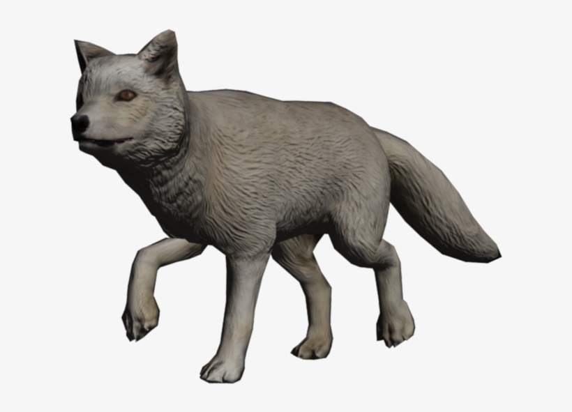 Portrait Fox Arctic Fox - Swift Fox PNG Image | Transparent PNG Free ...