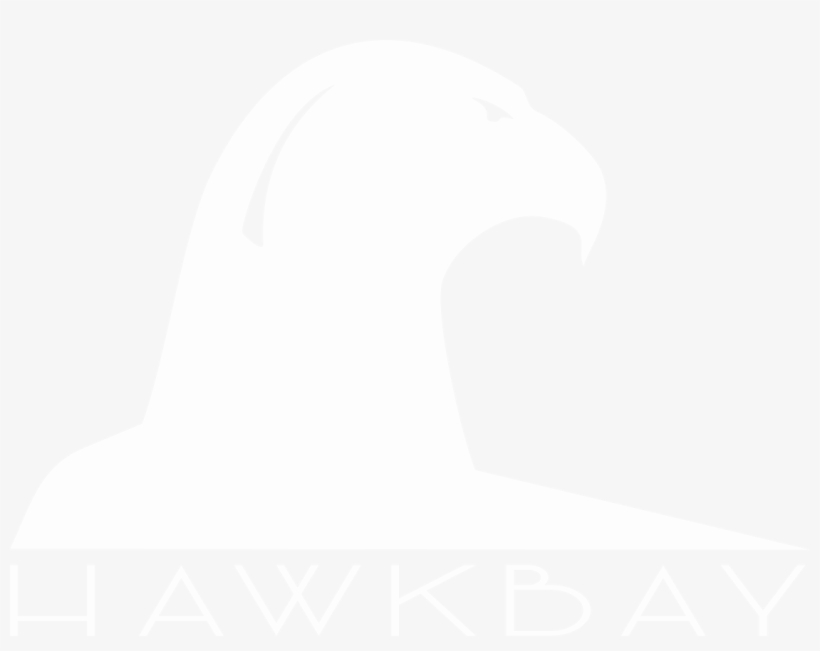 Hawk-bay International PNG Image | Transparent PNG Free Download on SeekPNG