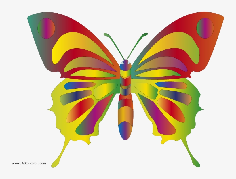Colorful Butterflies Clipart