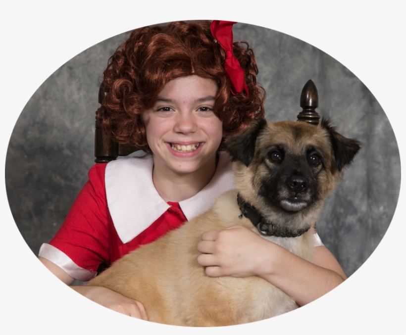 Companion Dog PNG Image | Transparent PNG Free Download on SeekPNG