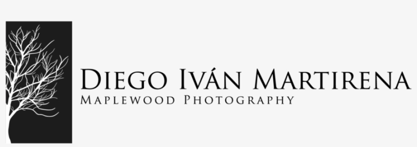 Photography Png Text PNG Image | Transparent PNG Free Download on SeekPNG