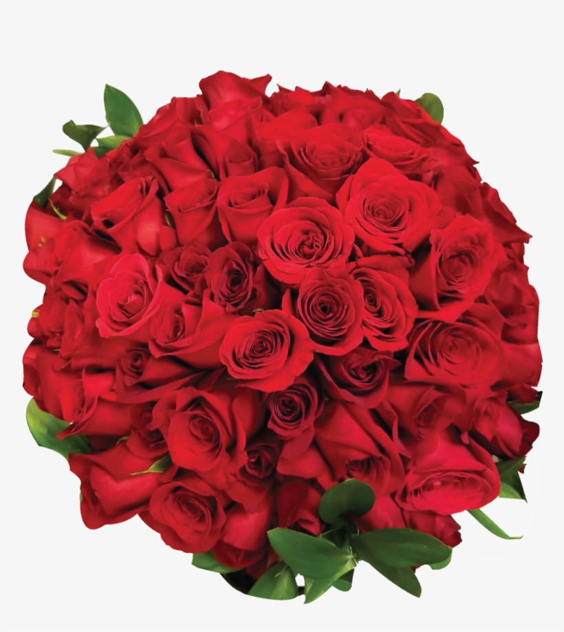 Rose Drama Collection - Bouquet De Rose Rouge PNG Image | Transparent ...