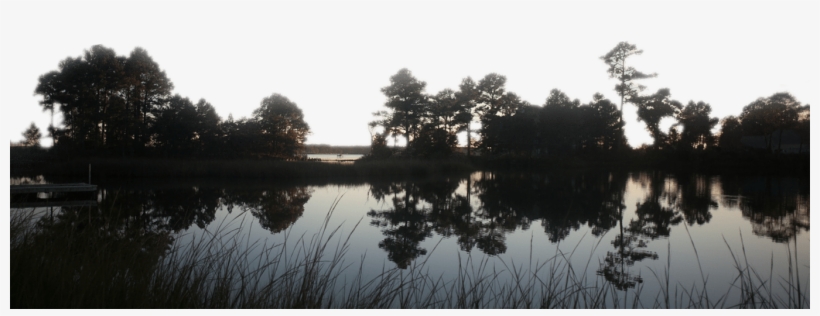 Lower Section Bg - Reflection PNG Image | Transparent PNG Free Download ...