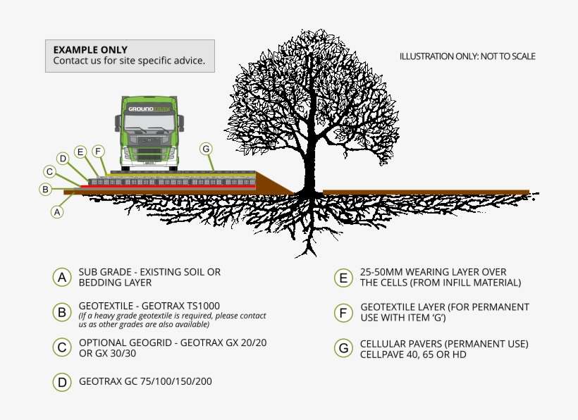 Tree Root Protection Example - Geocell Root Protection PNG Image ...