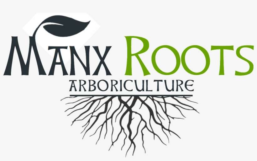 Back To My Roots Ep - Eddie Voyager - Download PNG Image | Transparent ...