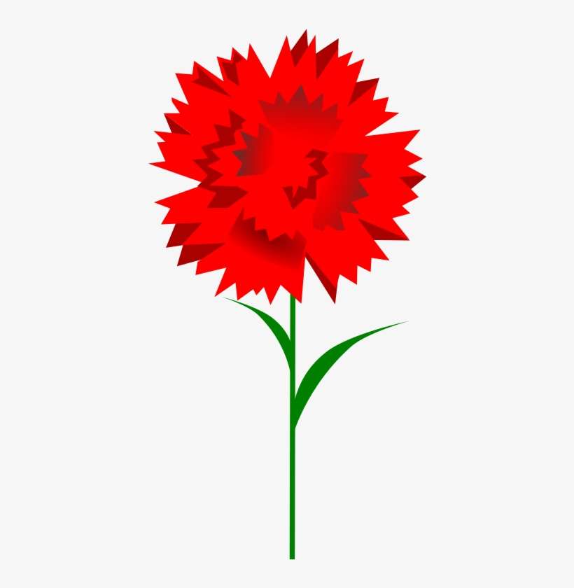 Cravo Png PNG Image | Transparent PNG Free Download on SeekPNG
