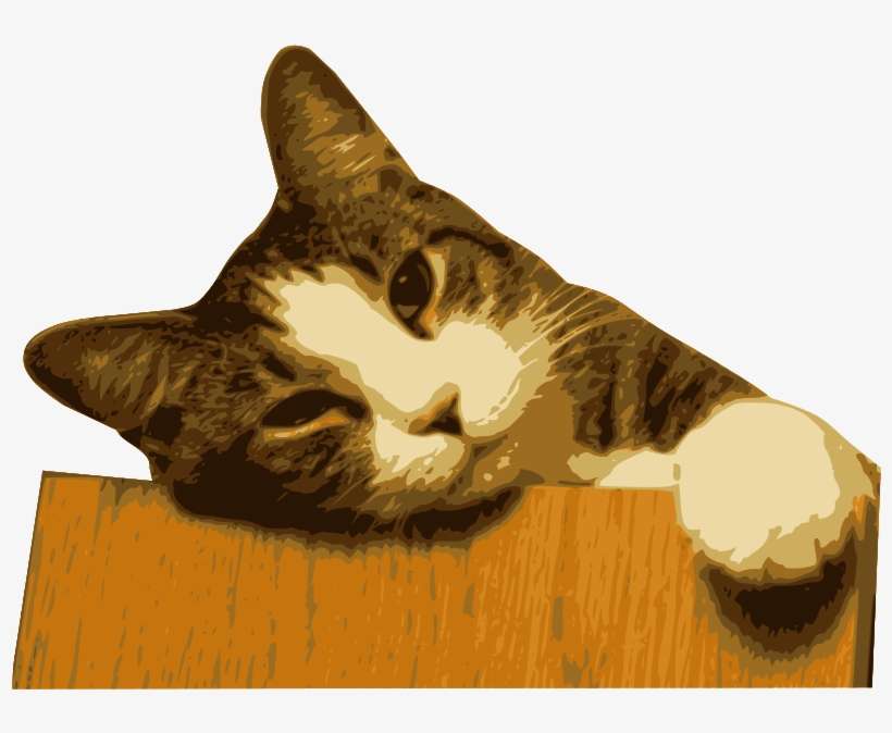 Free Vector Relaxed Cat - Realistic Knocking Sound Gif PNG Image ...