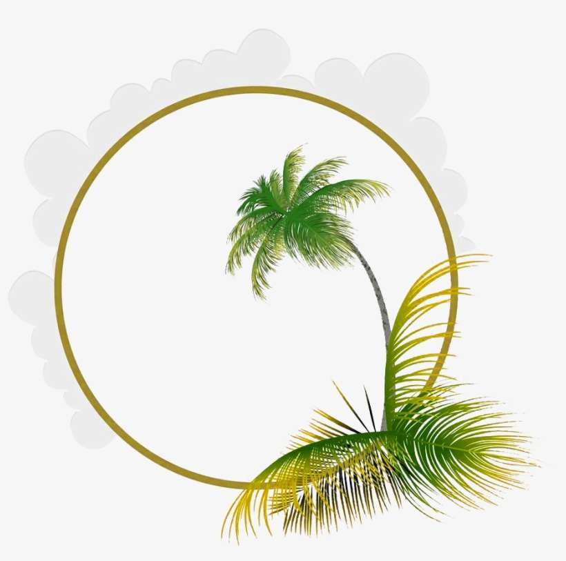 Leaf Euclidean Coconut Frame Picture Material Transprent - Coconut ...