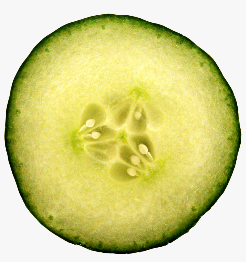 Download Sativus - Cucumber Slice Png | Transparent PNG Download | SeekPNG
