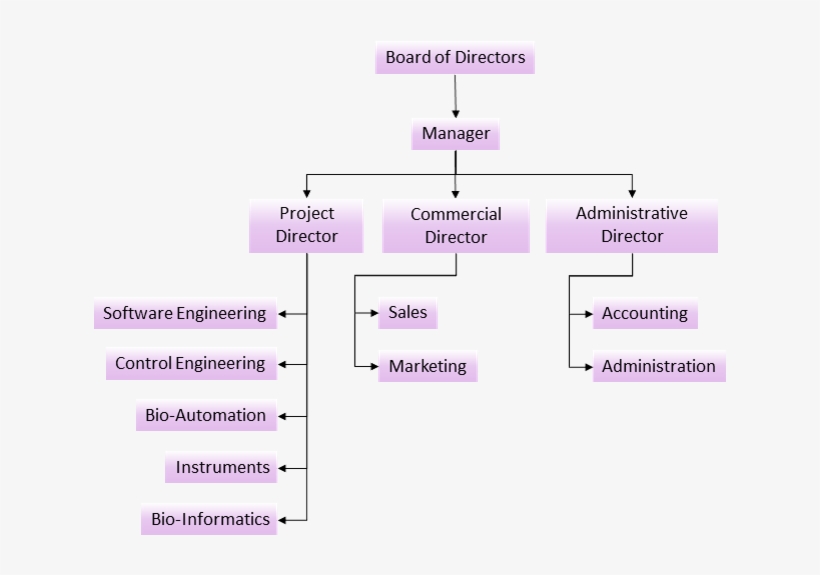 Org Chart - Parallel PNG Image | Transparent PNG Free Download on SeekPNG