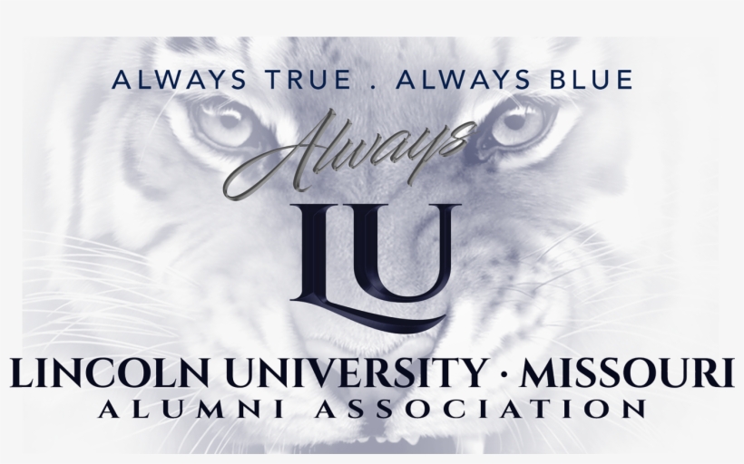 Class Reunion Letters - Calligraphy PNG Image | Transparent PNG Free ...