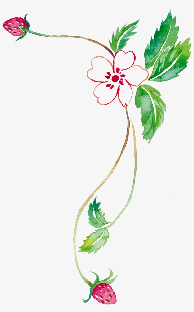 Strawberry Vine Clipart - Clip Art PNG Image | Transparent PNG Free ...