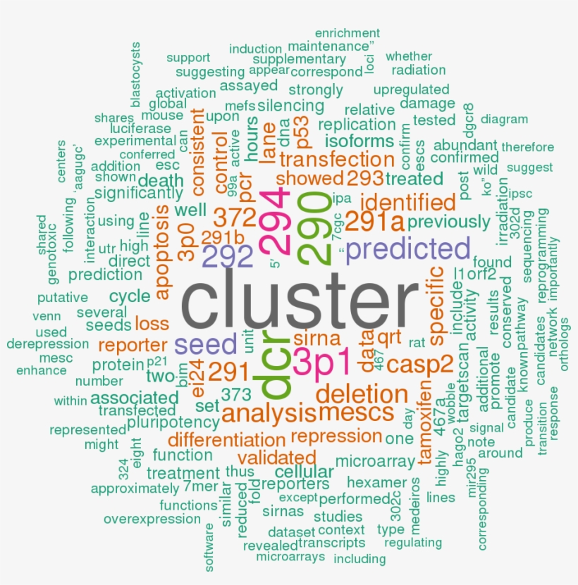 Sort By - Calligraphy PNG Image | Transparent PNG Free Download on SeekPNG