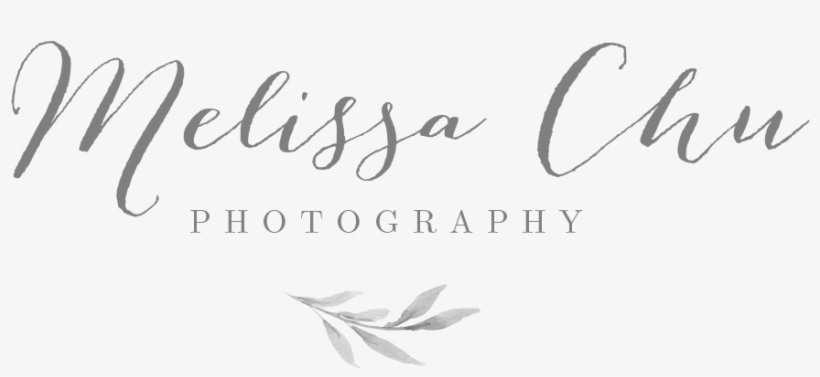 Download 1076 X 540 1 - Calligraphy | Transparent PNG Download | SeekPNG