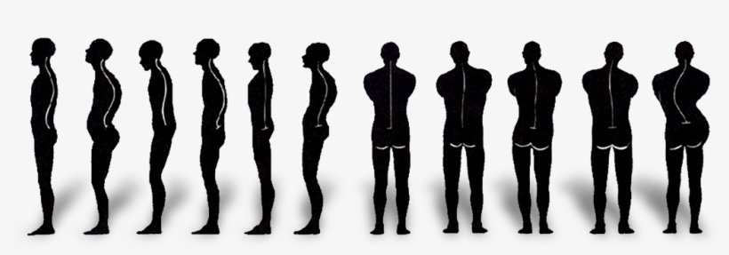 This Makes The Body Lean Forward, Which If You Didn't - Posture And ...