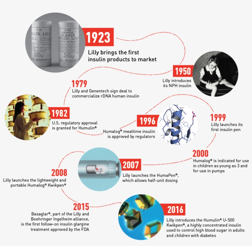 History Of Lilly Insulin Timeline Infographic - Circle PNG Image ...