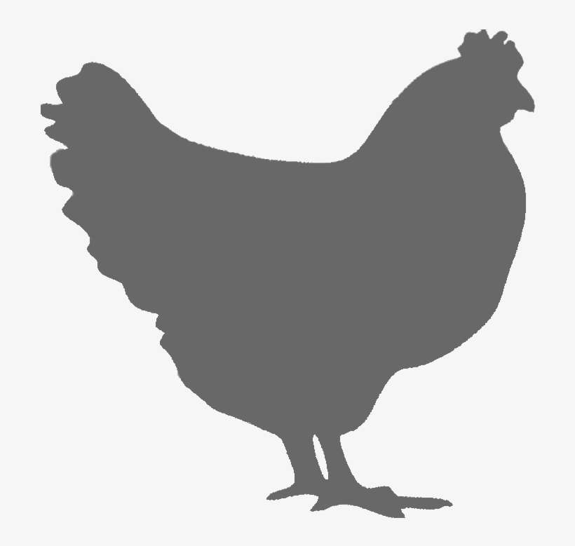 Offals And Others - Chicken Decals PNG Image | Transparent PNG Free ...
