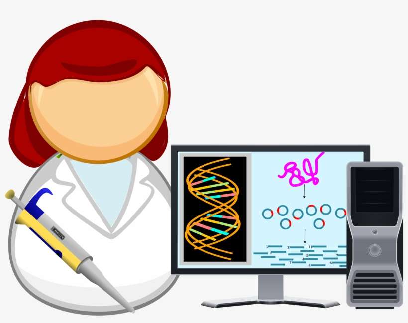 Molecules Clipart Science Word - Molecular Biology Clipart PNG Image ...