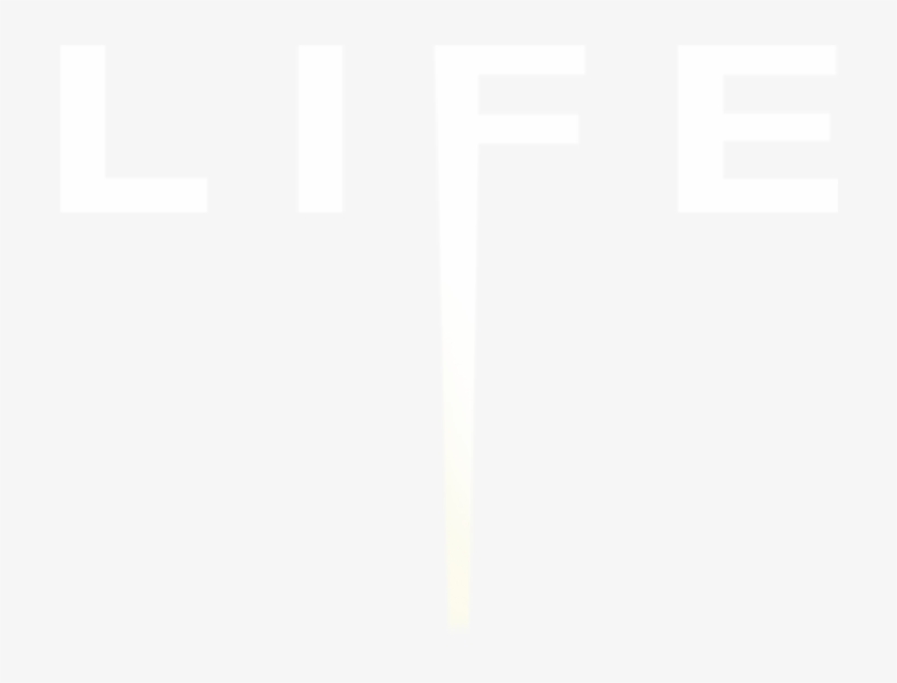 Life - Paper Product PNG Image | Transparent PNG Free Download on SeekPNG