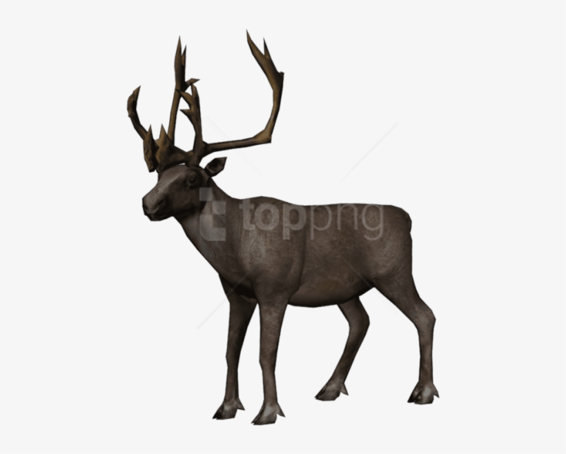 Free Png Moose Png Images Transparent - Red Dead Redemption 2 Wapiti ...