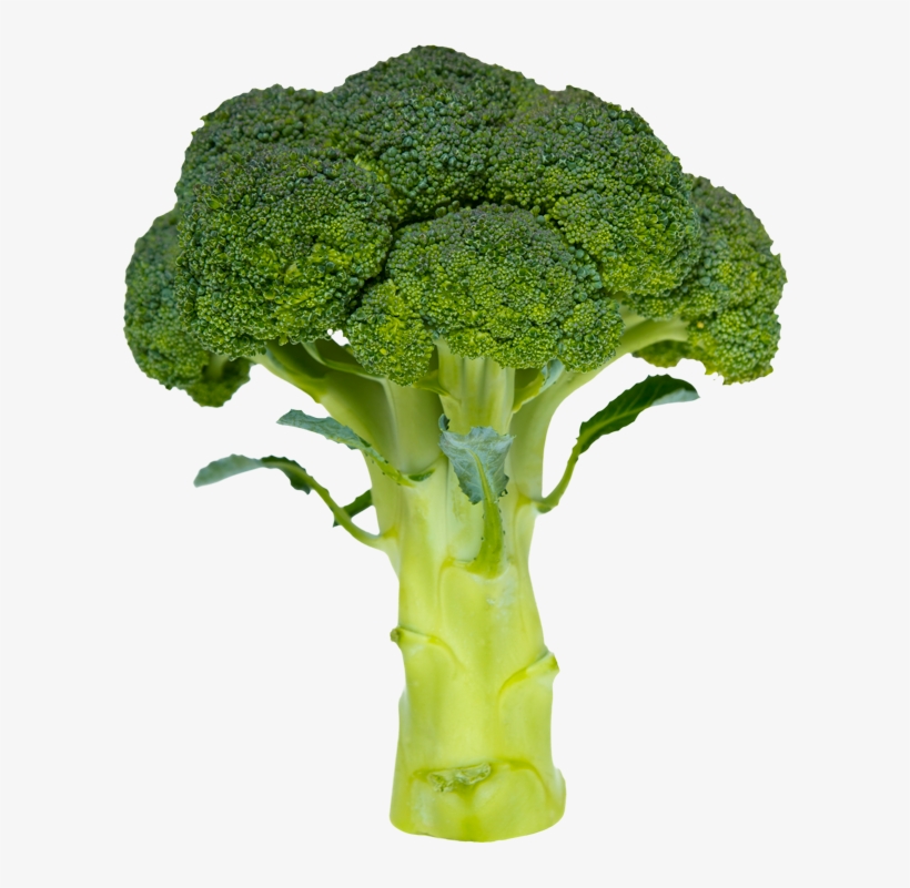 Broccoli Nutrition PNG Image | Transparent PNG Free Download on SeekPNG