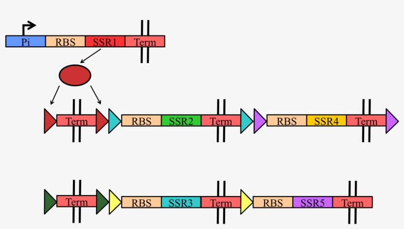 Pulse Generator Steps 1 And - Diagram PNG Image | Transparent PNG Free ...