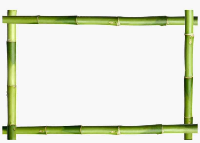 Bamboo Frame