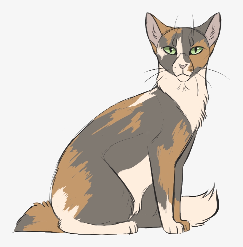 1 Jul - Cat Yawns PNG Image | Transparent PNG Free Download on SeekPNG