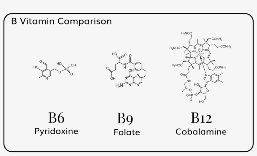 Vitamin B Comparison - Vitamin B Complex Structure PNG Image ...