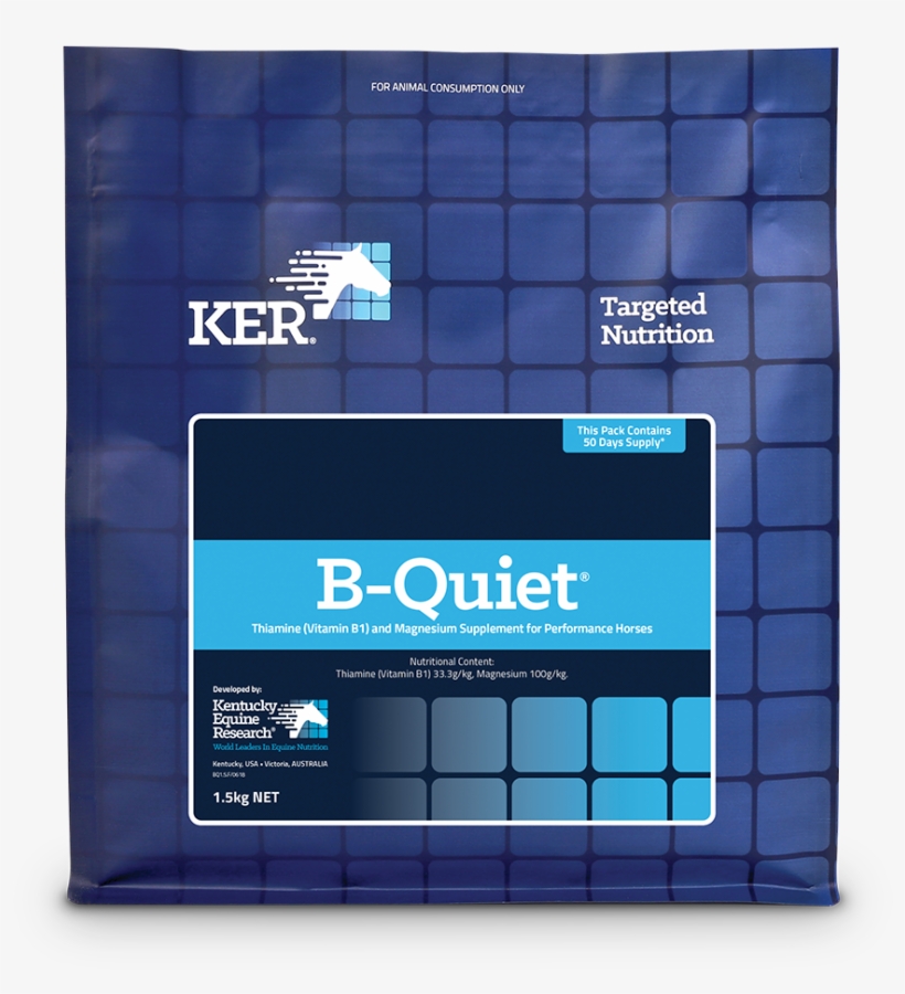 B-quiet - Horse PNG Image | Transparent PNG Free Download on SeekPNG