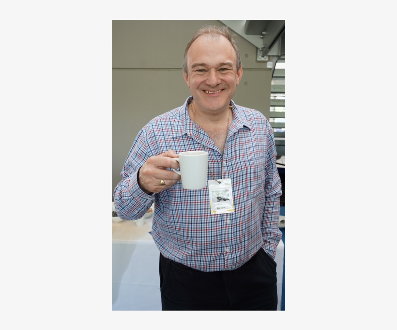 Gld Conference - Plaid PNG Image | Transparent PNG Free Download on SeekPNG