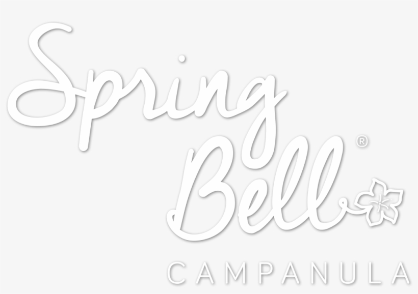 Spring Bell Campanula Logo - Calligraphy PNG Image | Transparent PNG ...
