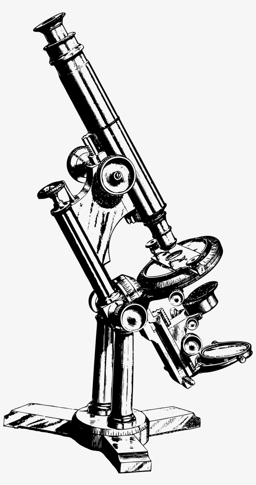 Microscope Drawing At Getdrawings - Microscope Clipart PNG Image ...