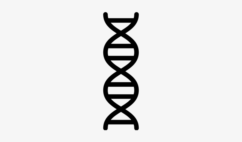 Dna String Vector - Dna String PNG Image | Transparent PNG Free ...
