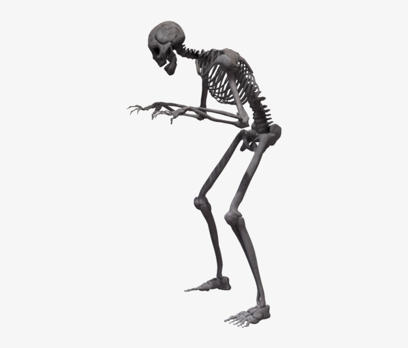 Skeleton PNG Image | Transparent PNG Free Download on SeekPNG
